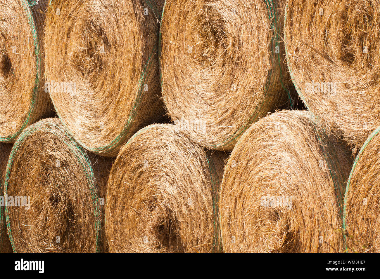 Round haybales hi-res stock photography and images - Alamy