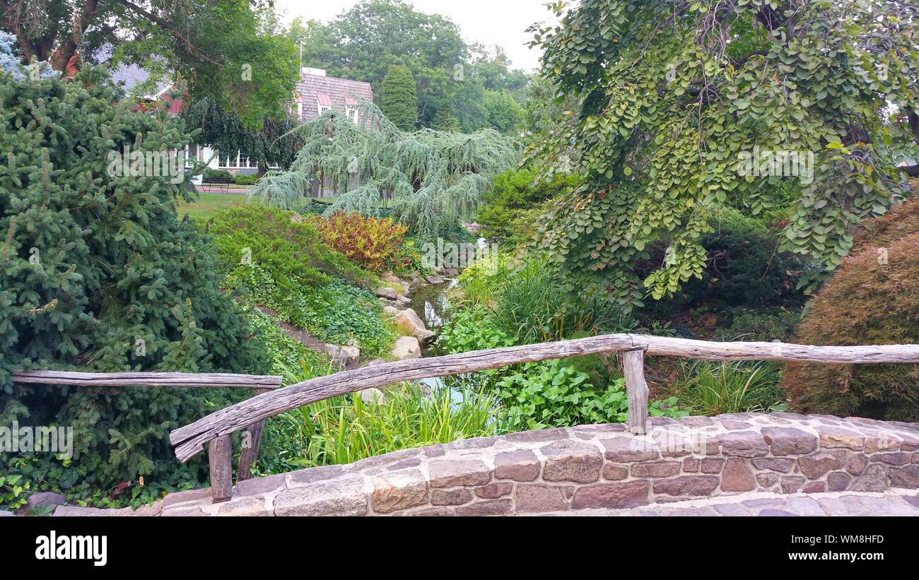 Plants Growing On Tree Stock Photo - Alamy