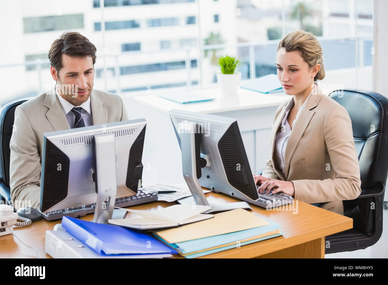 Focused business people using computer in office Stock Photo - Alamy