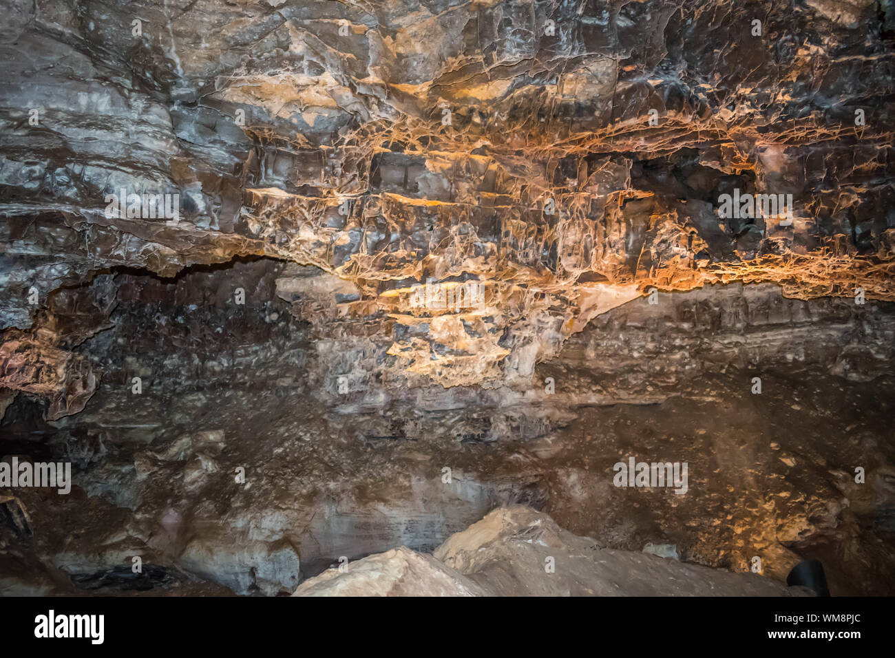 A Boxwork geological formation of rocks in Wind Cave National Park ...