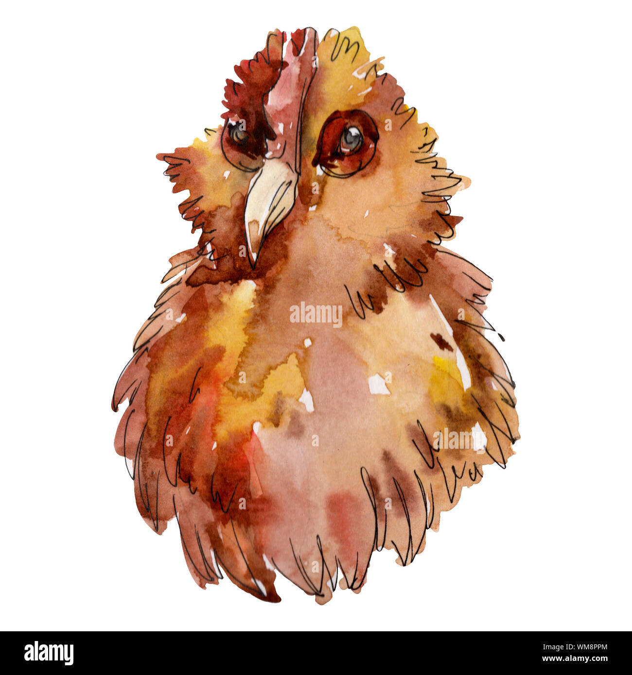 Hen head farm bird isolated. Watercolor background illustration set ...