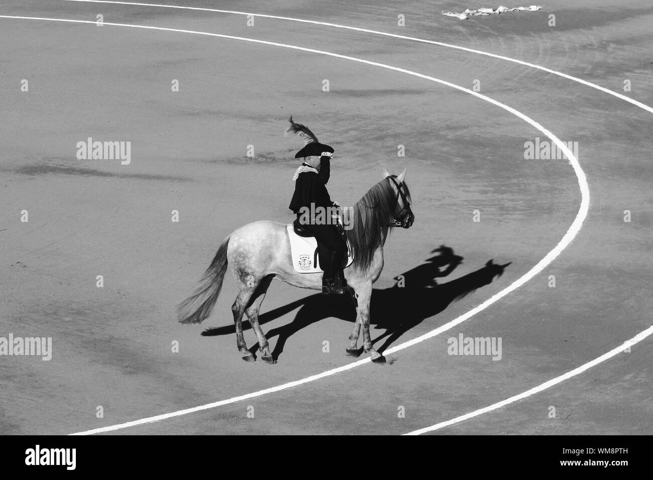 Horseracing people horse animal hi-res stock photography and images - Alamy