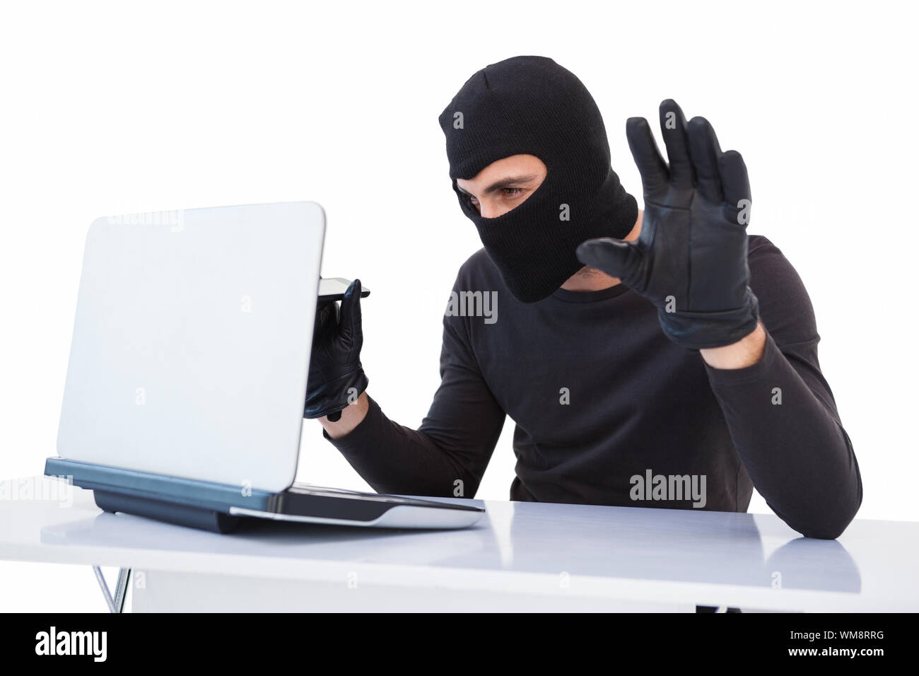 Focused burglar hacking into laptop on white background Stock Photo - Alamy