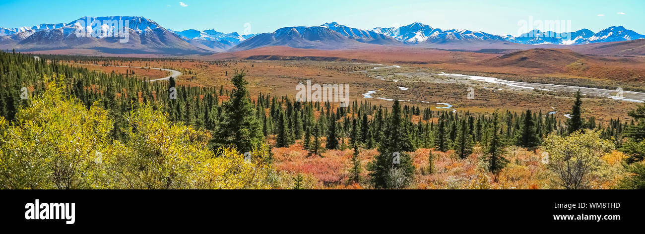 Panorama landscape, Fall in Denali National Park, Alaska Stock Photo ...