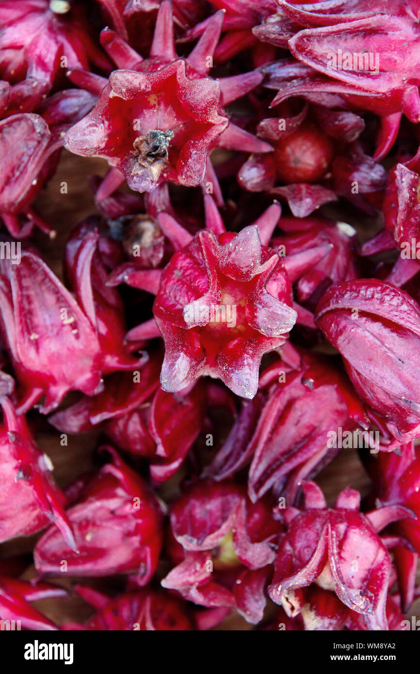 fresh roselle flower Stock Photo - Alamy