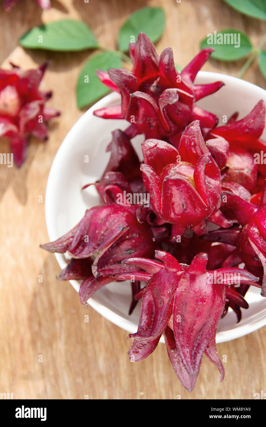 fresh roselle flower Stock Photo - Alamy