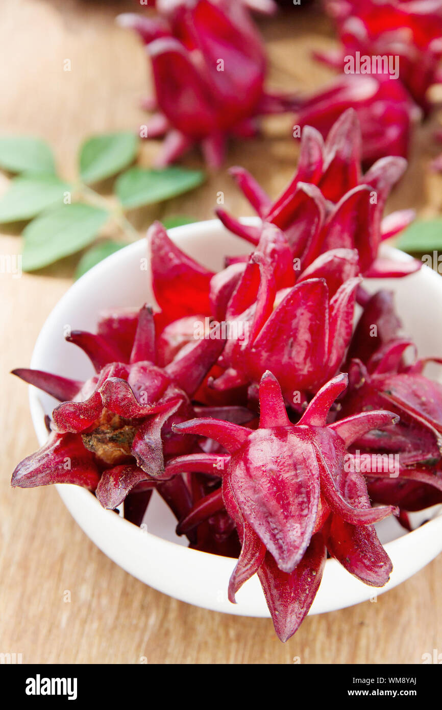 fresh roselle flower Stock Photo - Alamy
