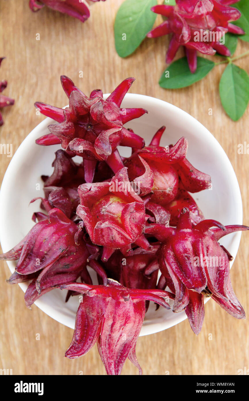fresh roselle flower Stock Photo - Alamy