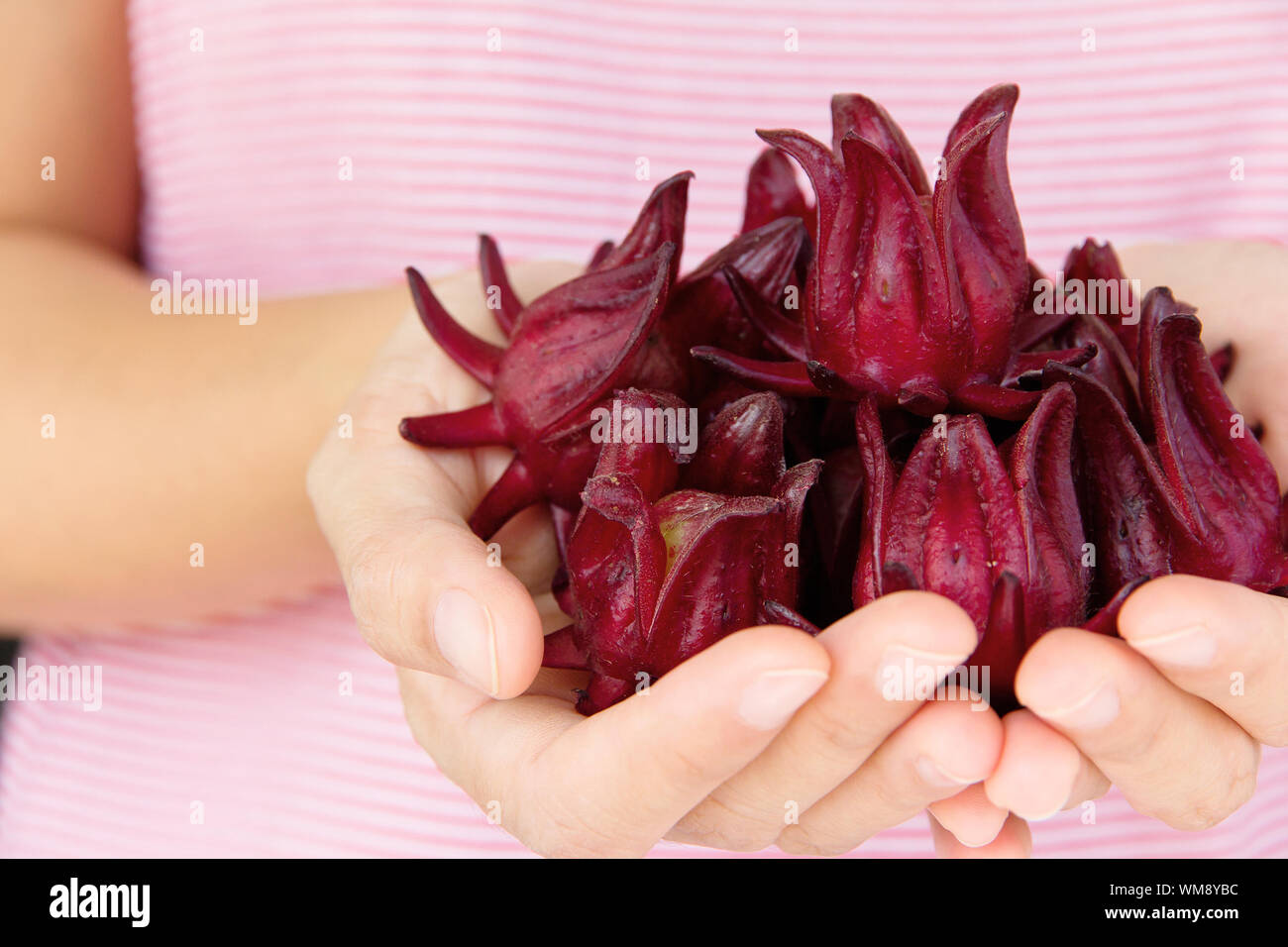 Fresh roselle hi-res stock photography and images - Alamy