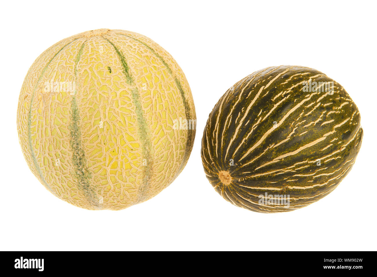 Two various melons isolated over white background Stock Photo - Alamy