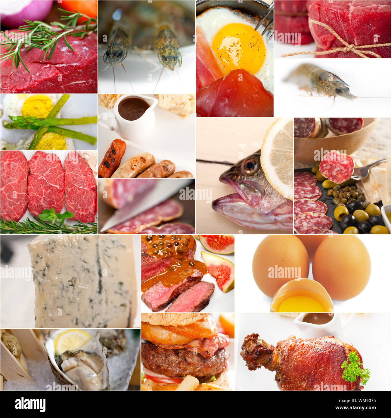 high protein food collection collage nested on white frame Stock Photo ...