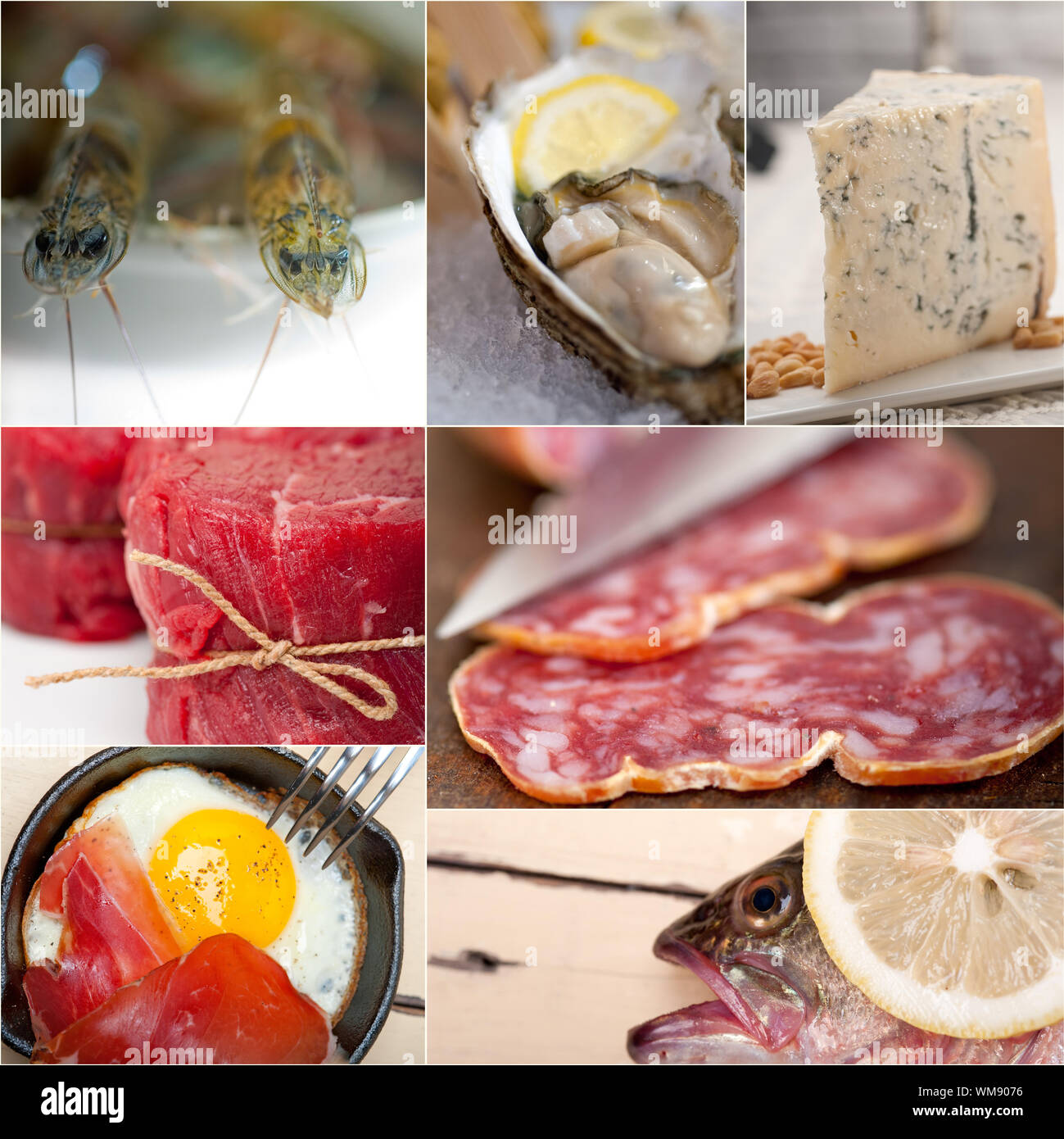 high protein food collection collage nested on white frame Stock Photo ...
