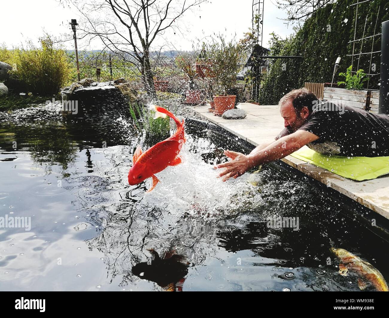 Fish Throwing High Resolution Stock Photography and Images - Alamy