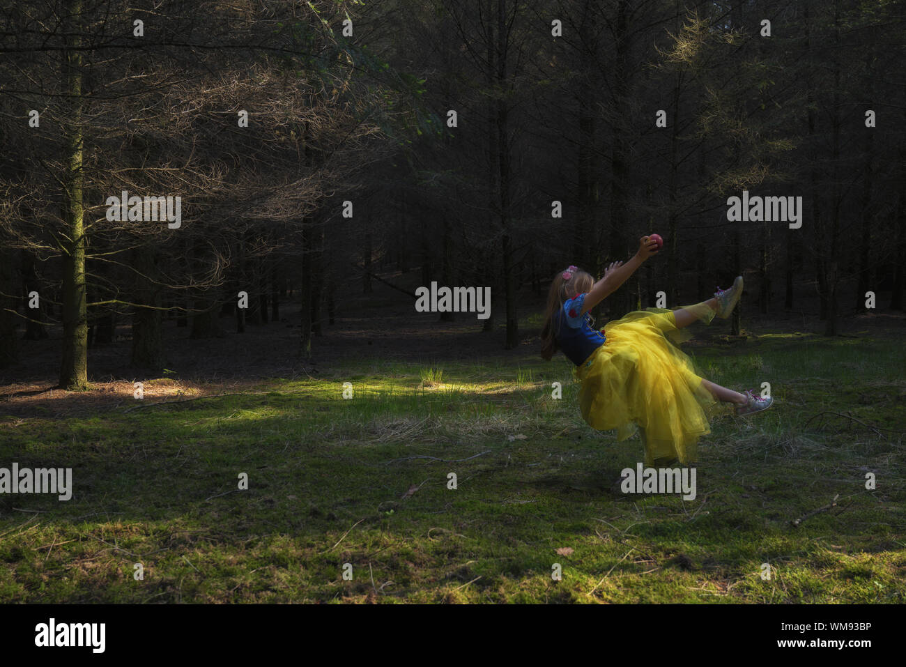 Princess forest hi-res stock photography and images - Alamy