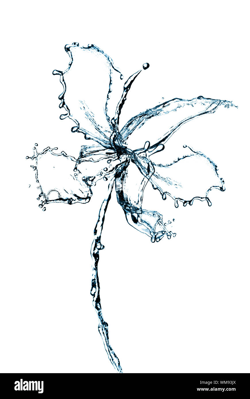 Orchid flower made of water splash isolated on white background Stock ...