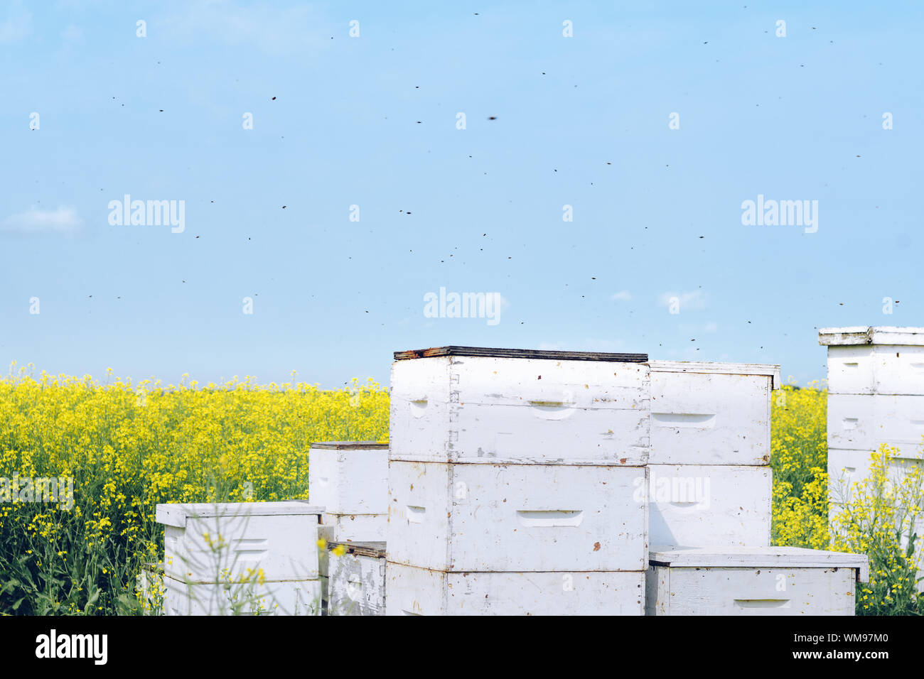 Field box stack hi-res stock photography and images - Alamy