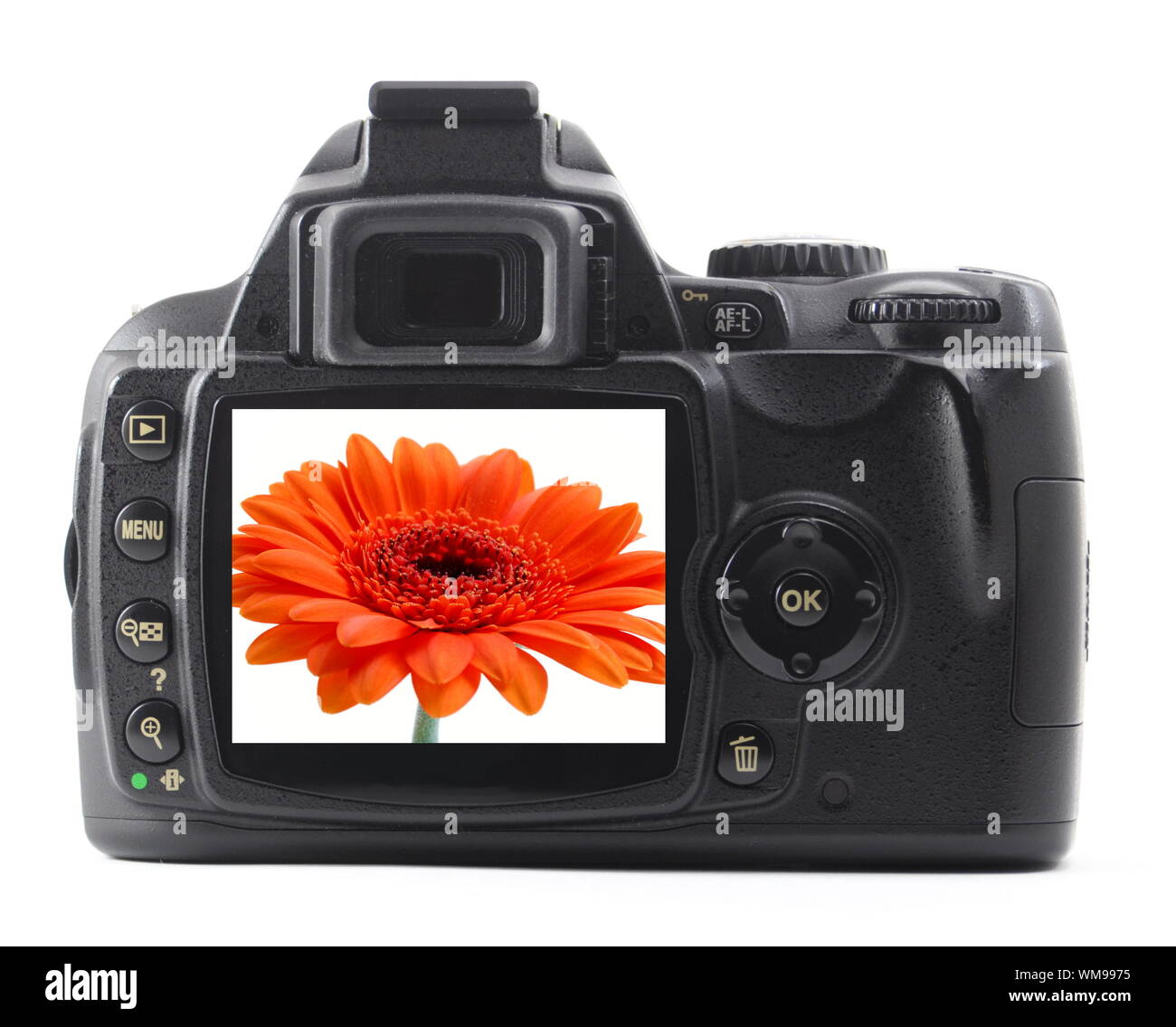 dslr with summer flower isolated on white background Stock Photo - Alamy