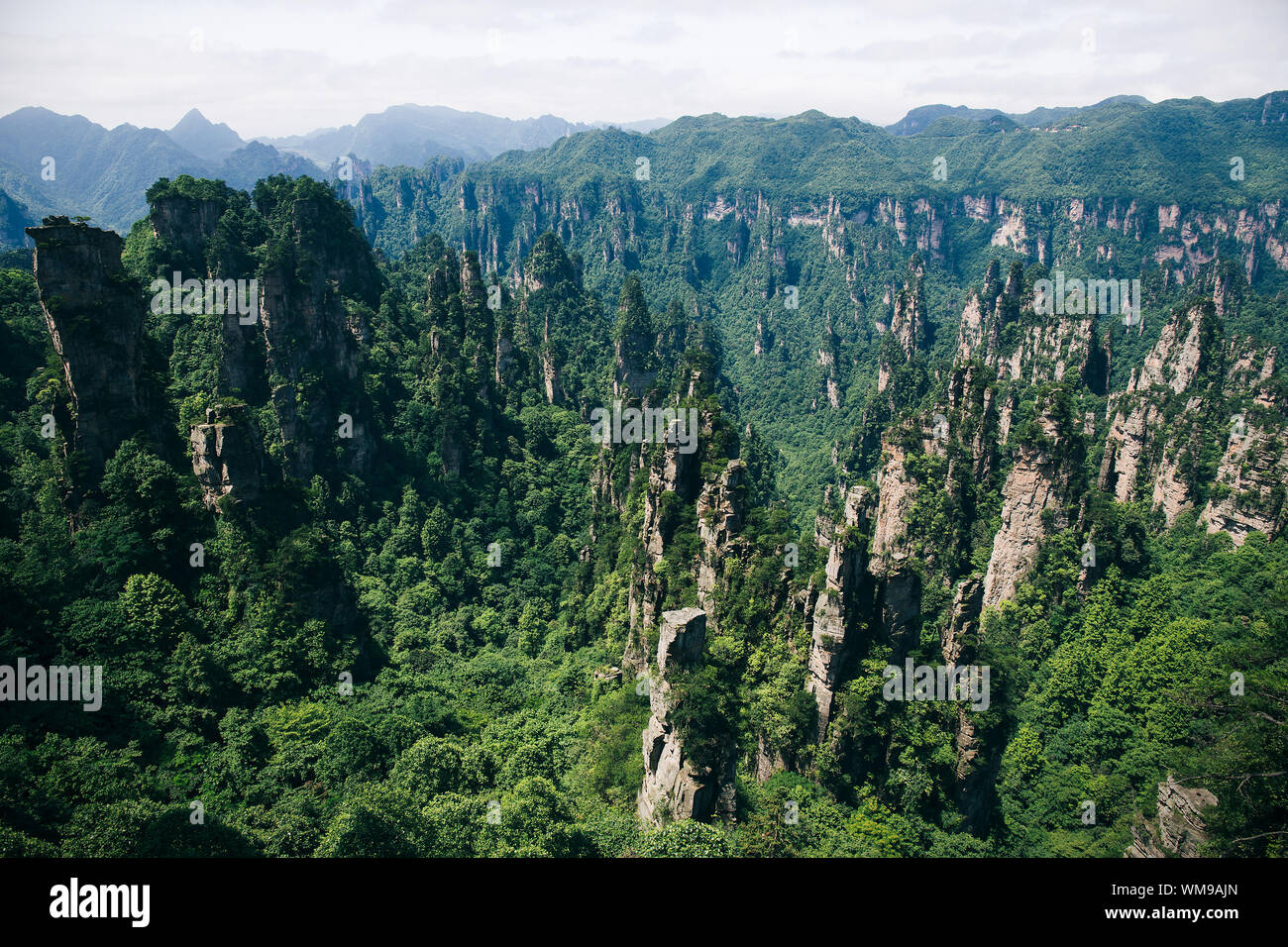 Zhangjiajie National Forest High Resolution Stock Photography and ...