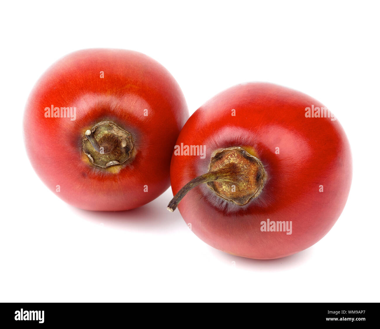 Two Full Body Exotic Tropical Fruits Tamarillo isolated on white ...