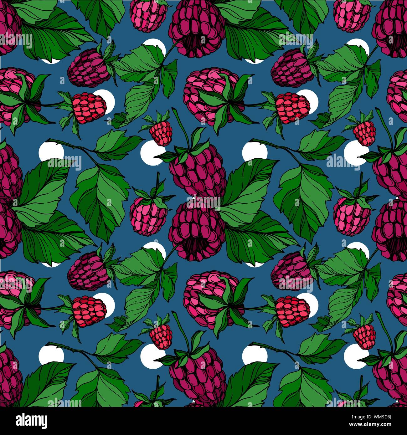 Vector Raspberry healthy food isolated. Black and white engraved ink ...