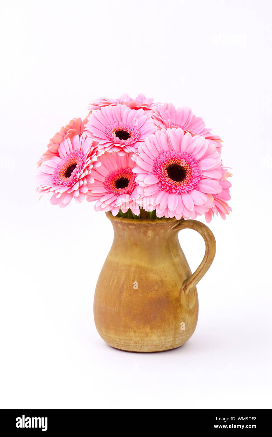 pink gerbera flowers in a vase Stock Photo - Alamy
