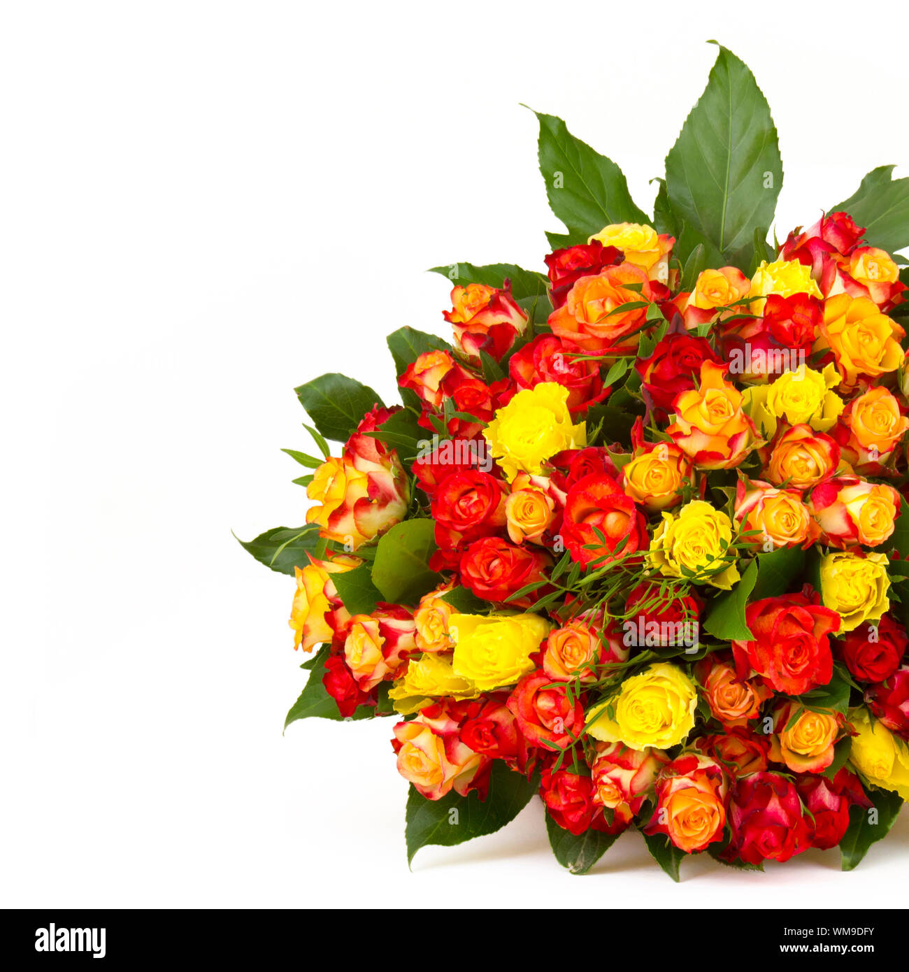 A bouquet of multicolored roses Stock Photo - Alamy