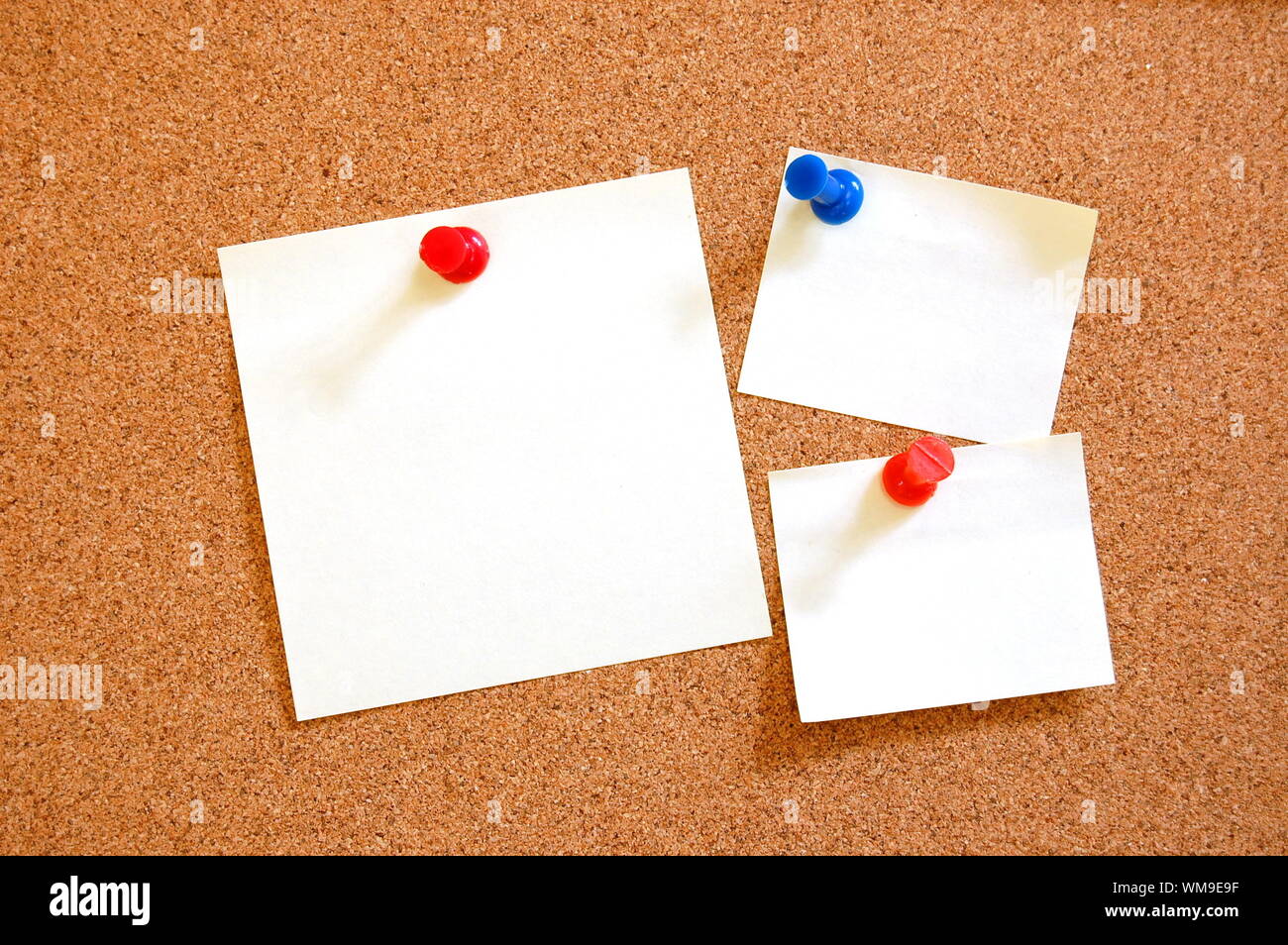blank and empty sheet paper with pin on bulletin board Stock Photo - Alamy