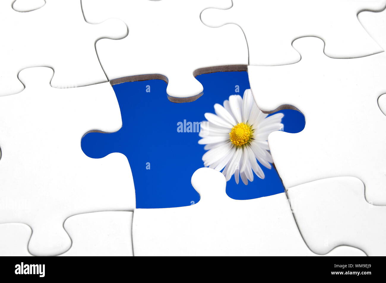 puzzle and flower showing concept for fragile nature Stock Photo - Alamy