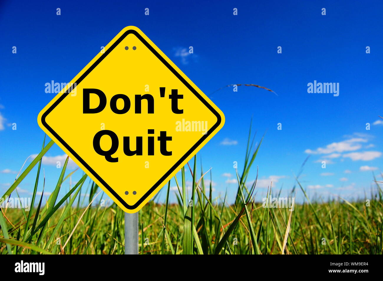 dont give up on yellow road sign for motivation Stock Photo - Alamy