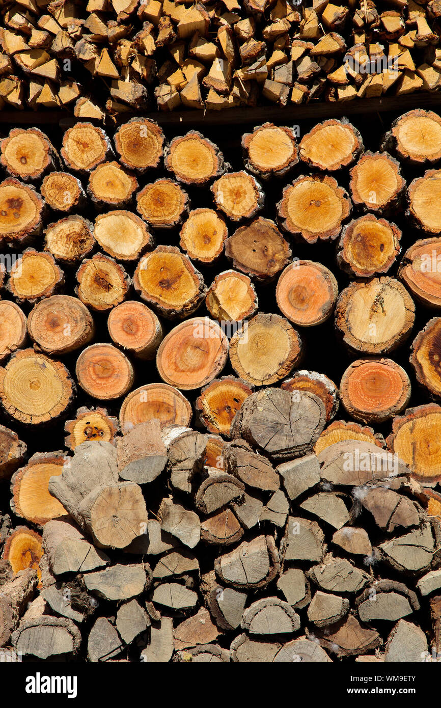 Stacked logs Background Stock Photo - Alamy