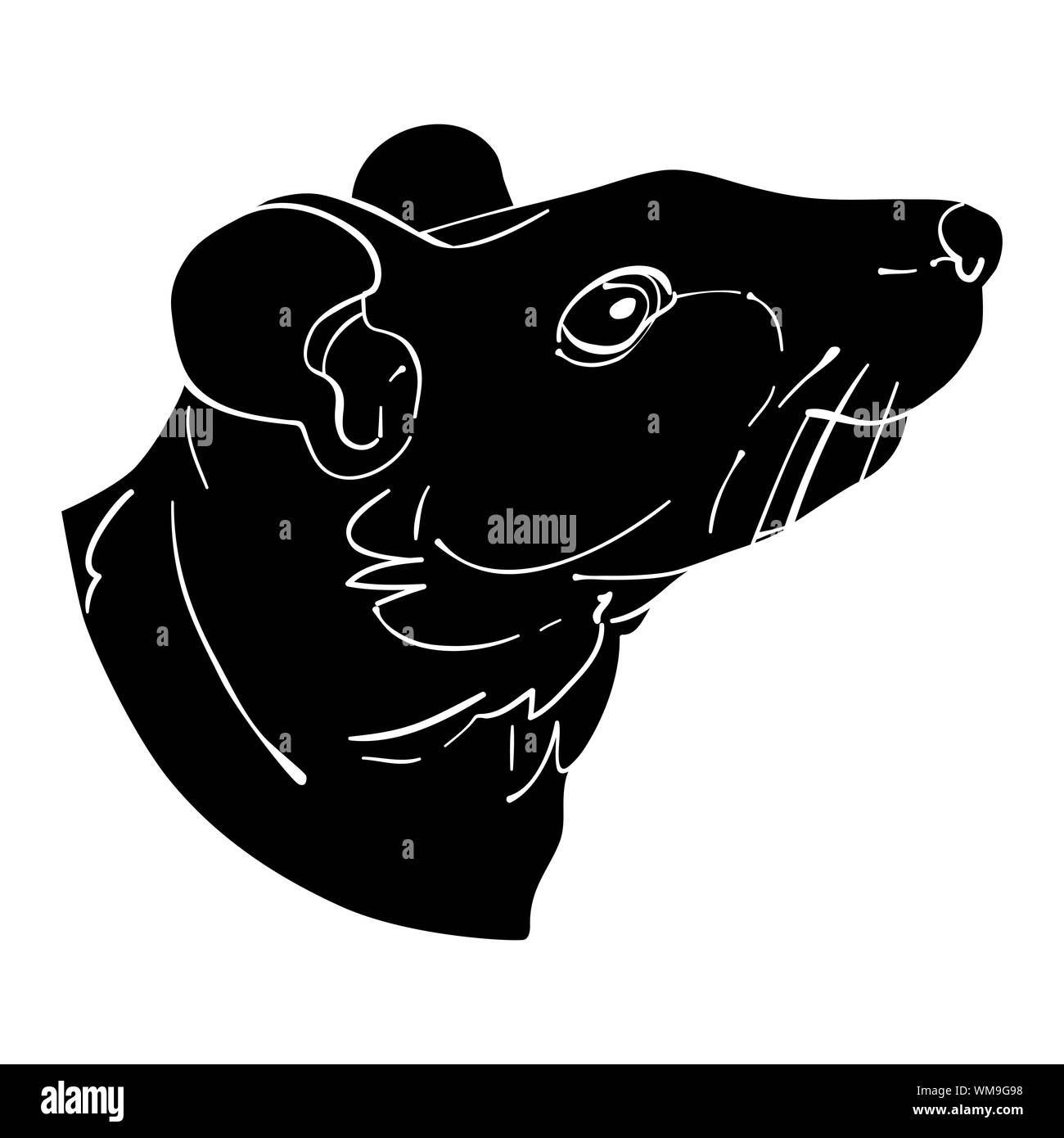 Rat head profile hi-res stock photography and images - Alamy