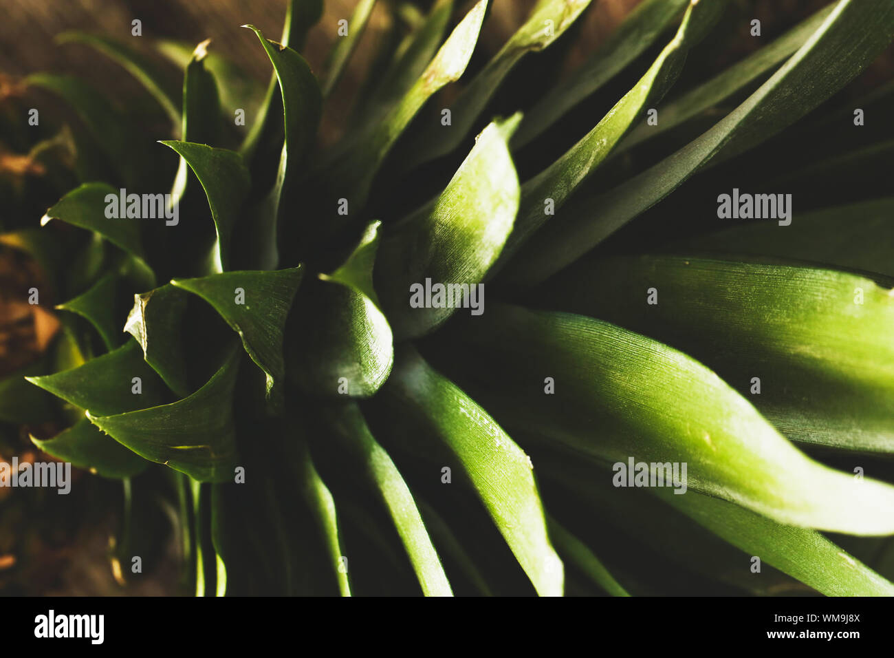 5344 hi-res stock photography and images - Alamy