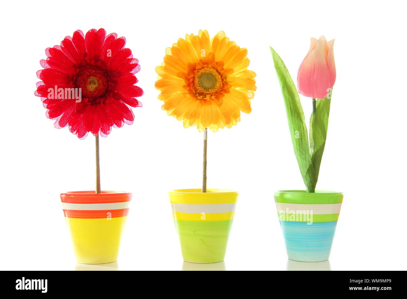 happy spring flowers isolated on white background Stock Photo - Alamy