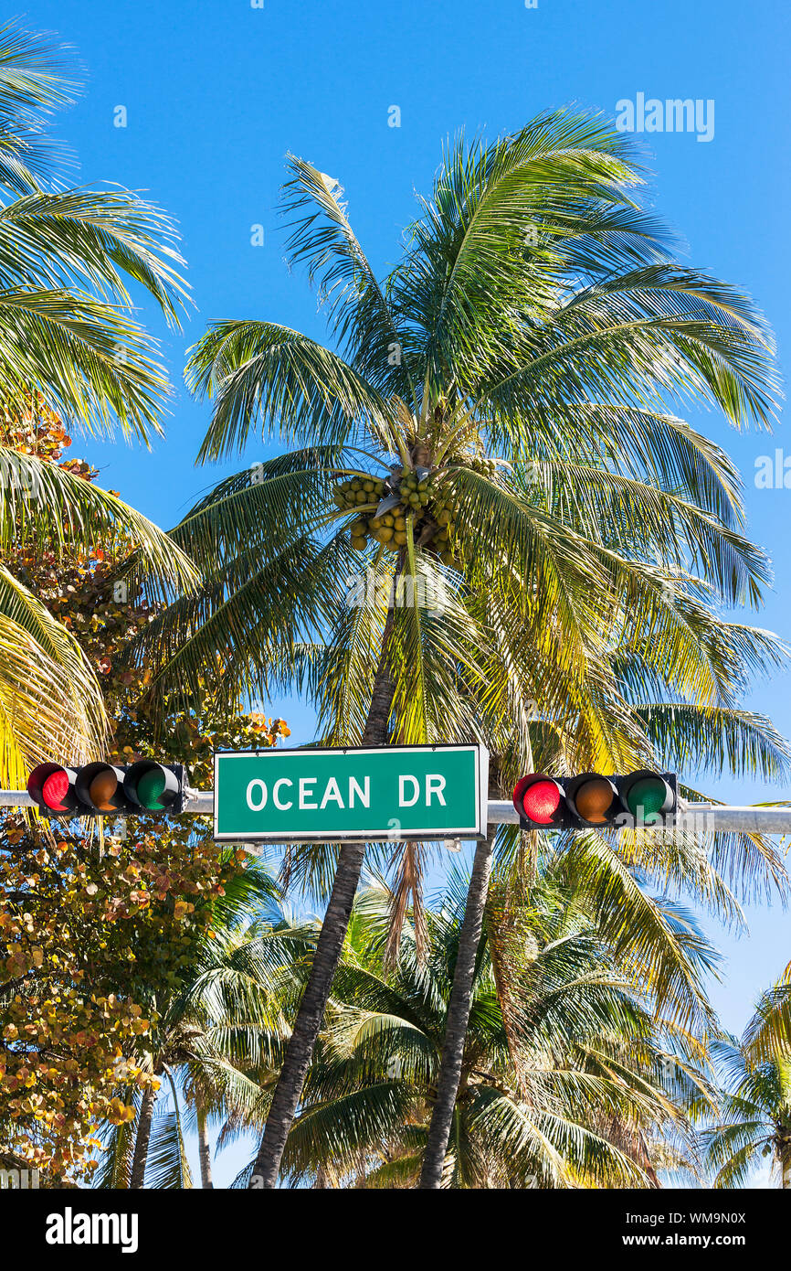 Famous Ocean Drive street sign with palm tree in Miami Beach Stock ...