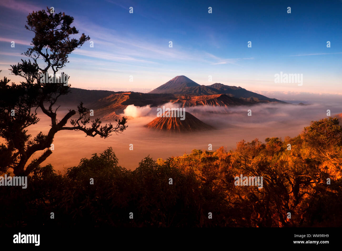 Mount Bromo volcanoes taken in Tengger Caldera, East Java, Indonesia ...