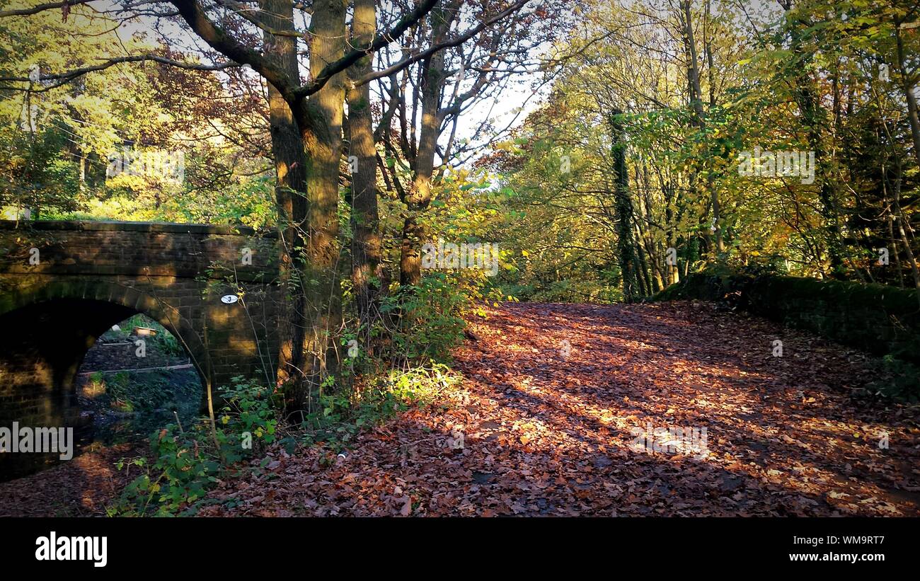 Messy road hi-res stock photography and images - Alamy