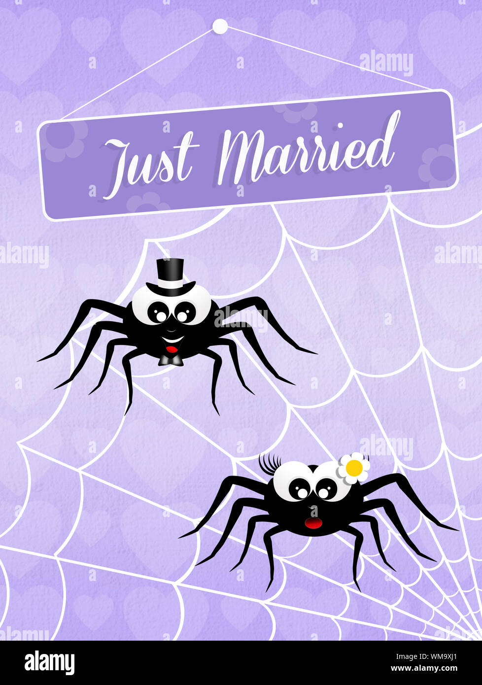 Wedding of spider Stock Photo - Alamy