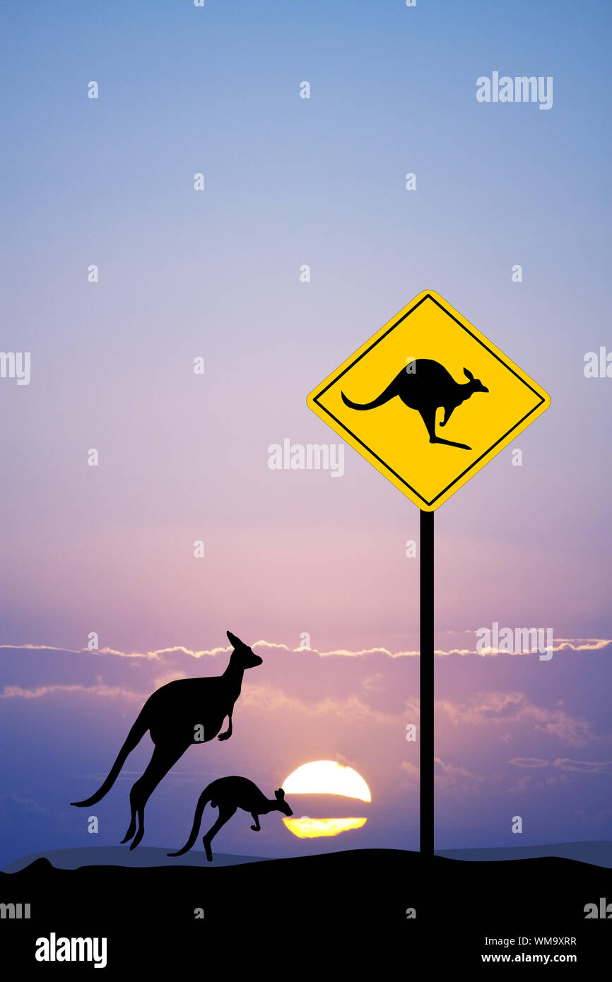 Kangaroo sign caution Stock Photo - Alamy