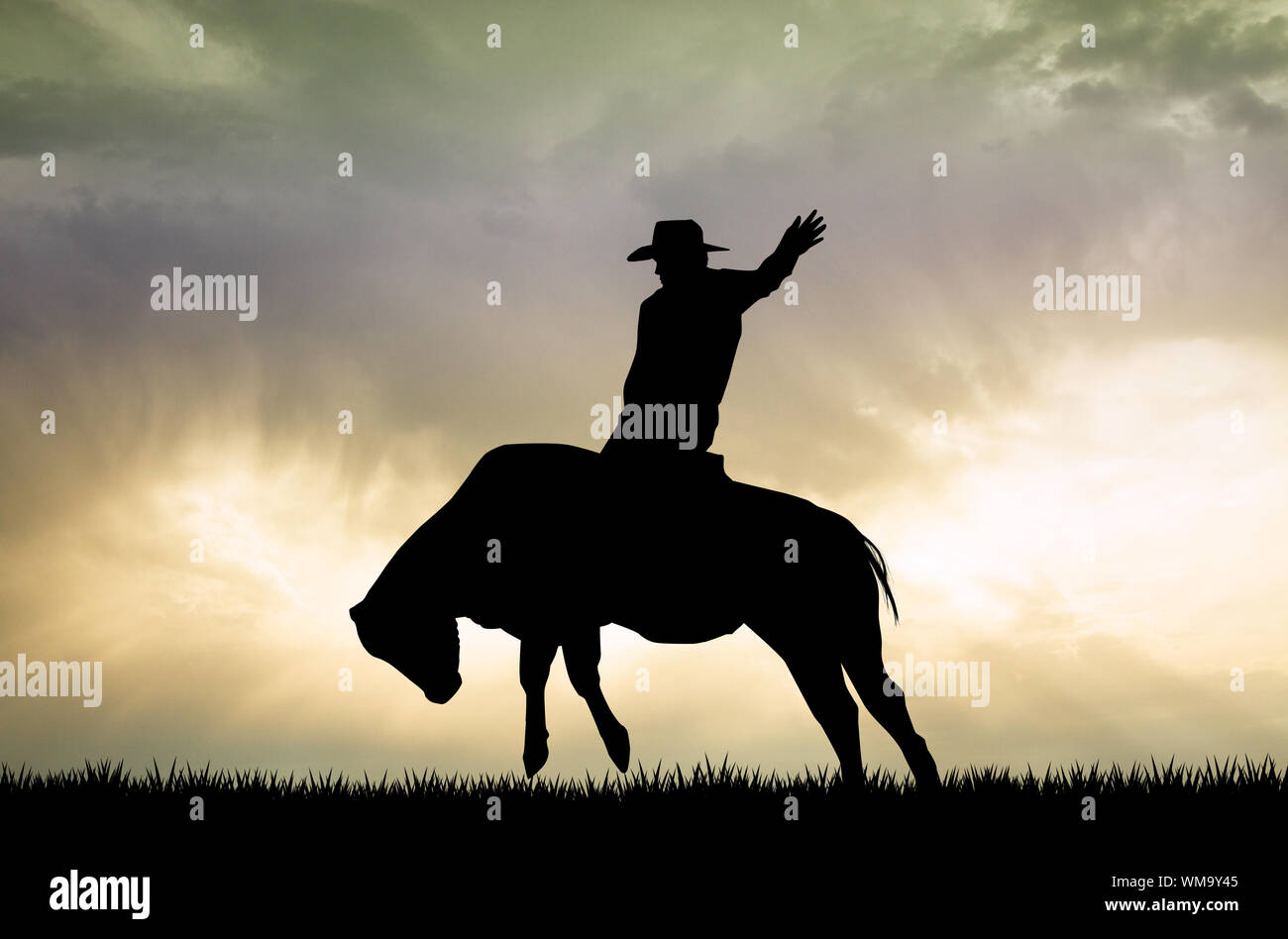 Rodeo bull hi-res stock photography and images - Alamy