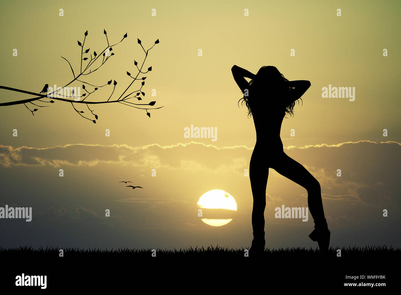 girl dancing at sunset Stock Photo - Alamy