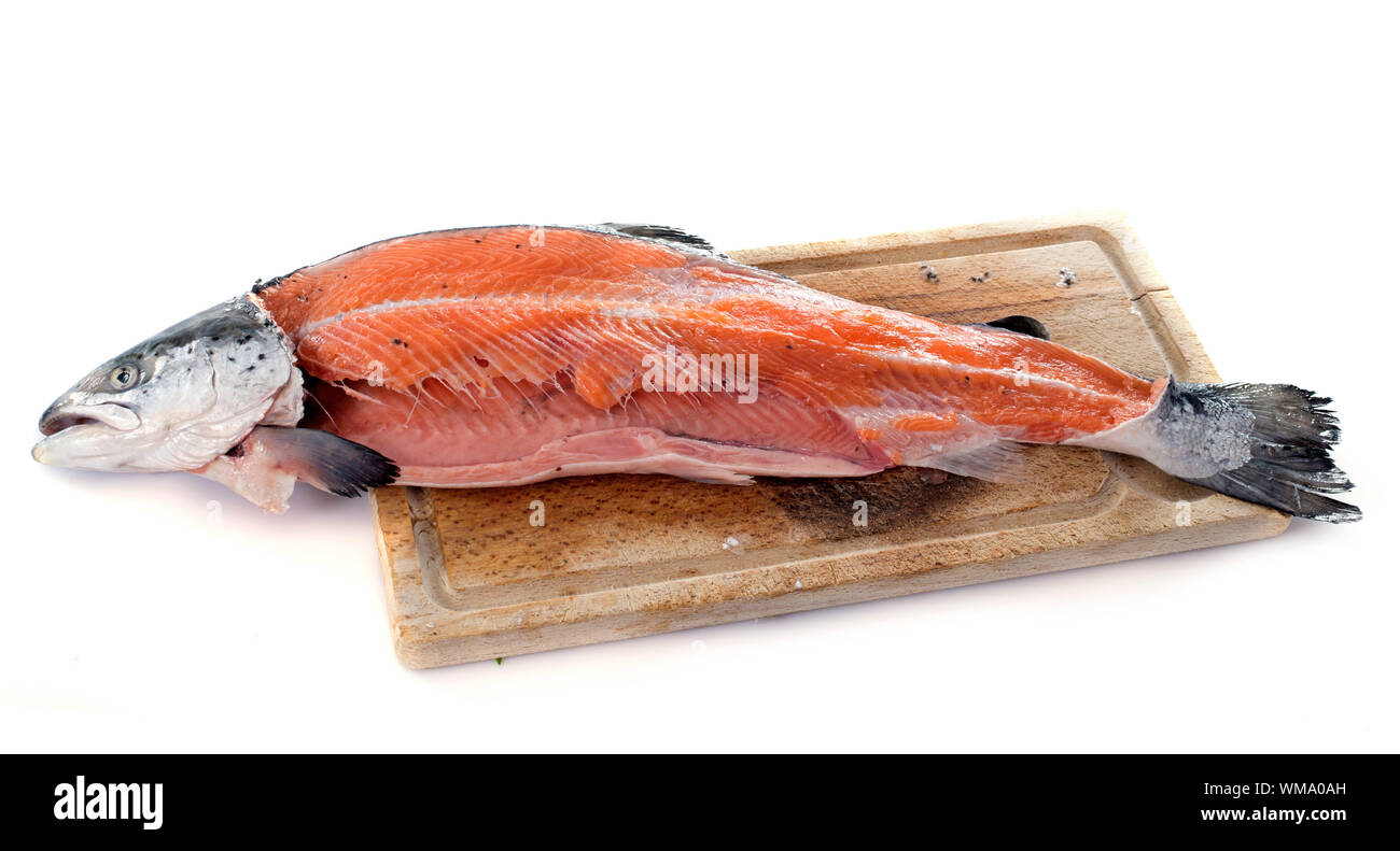 salmon fish in front of white background Stock Photo - Alamy