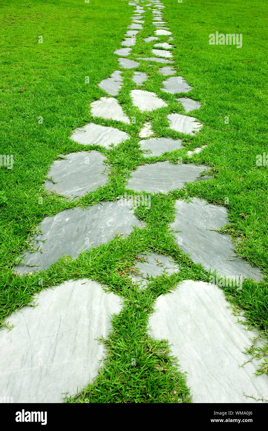Garden stone path with grass growing up between the stones Stock Photo ...