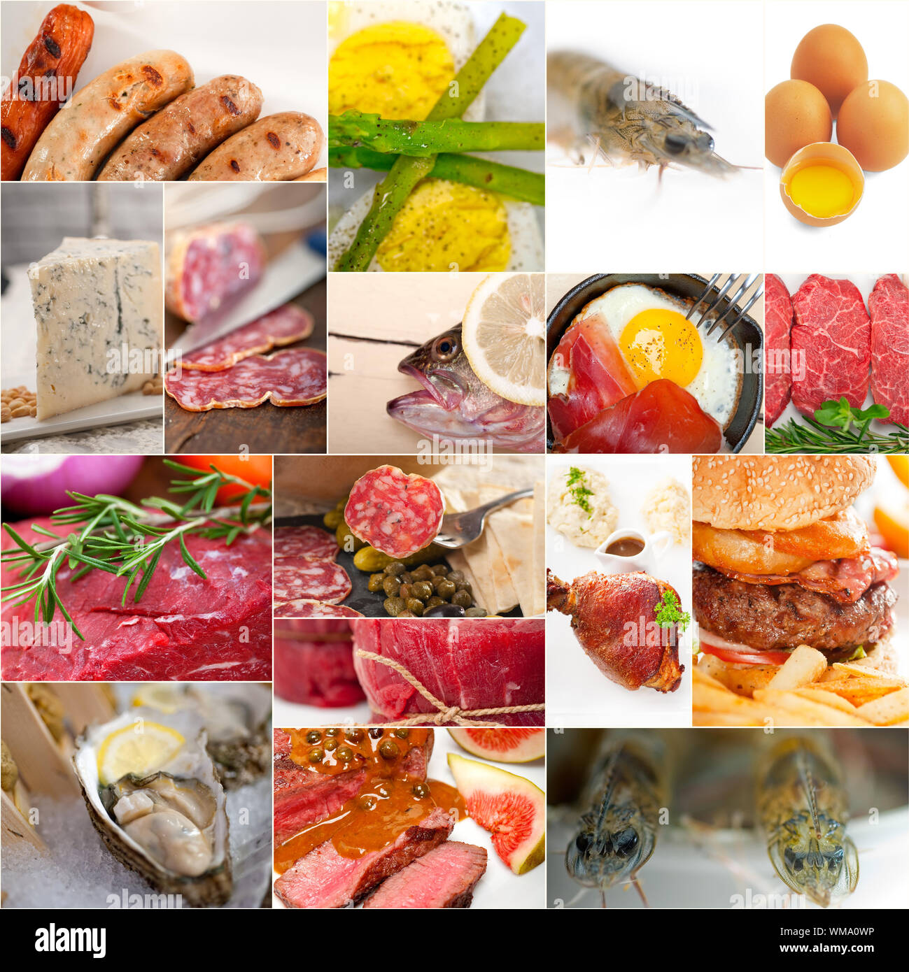 high protein food collection collage nested on white frame Stock Photo ...