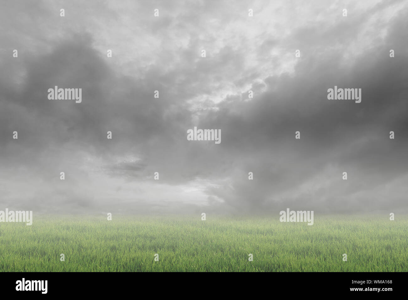 Scenic of clouds on heaven above the ground. Good background for you to ...