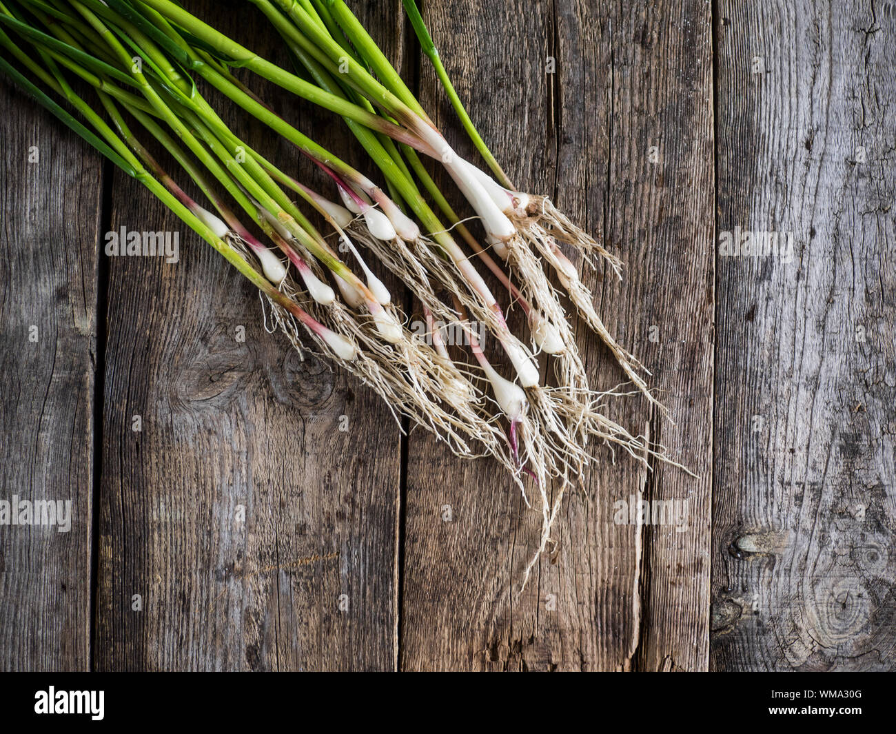 Bunch of scallions hi-res stock photography and images - Alamy