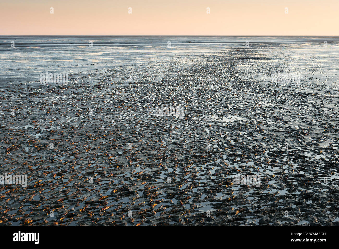 Image of mudflat landscape in Northern Germany at sunset Stock Photo ...