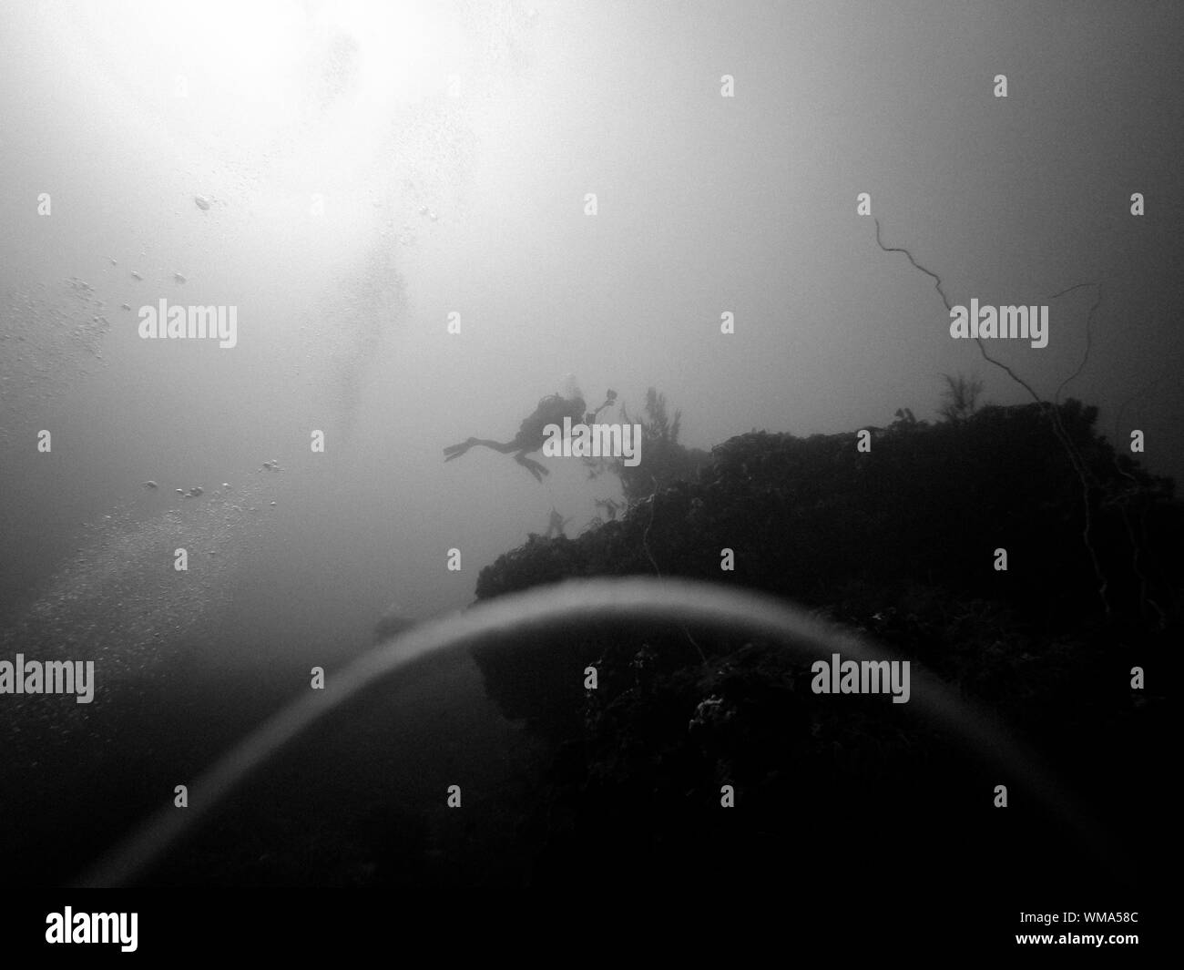 Scuba diving in philippines hi-res stock photography and images - Alamy