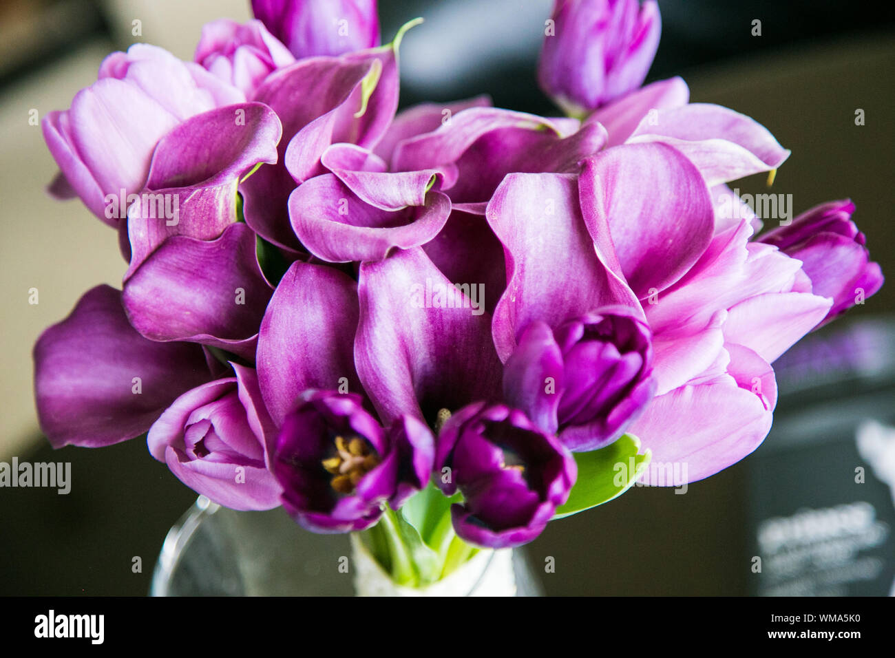 Cala lilies vase hi-res stock photography and images - Alamy
