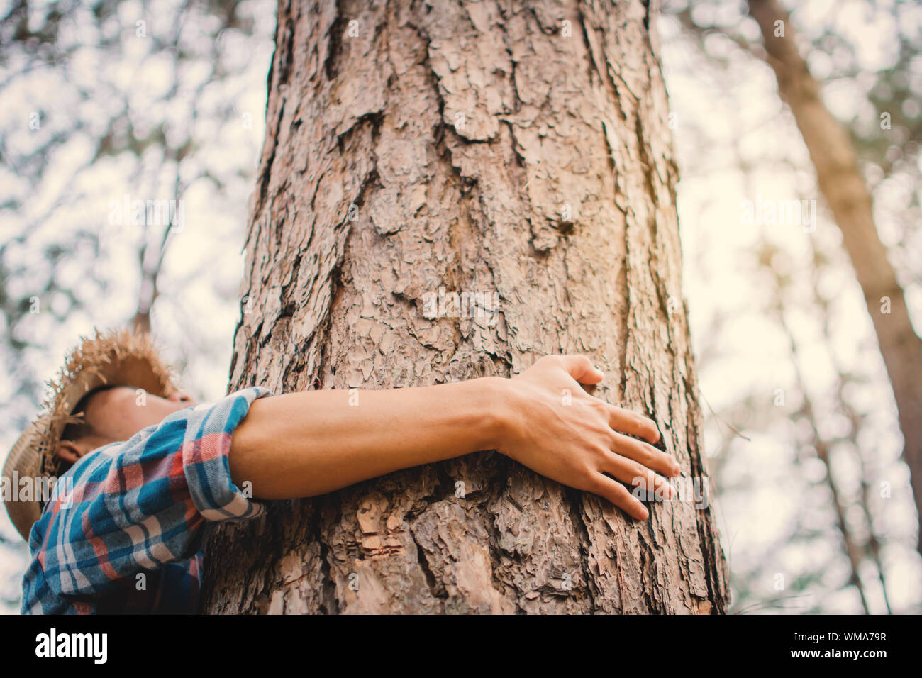 Tree hugging are hi-res stock photography and images - Alamy