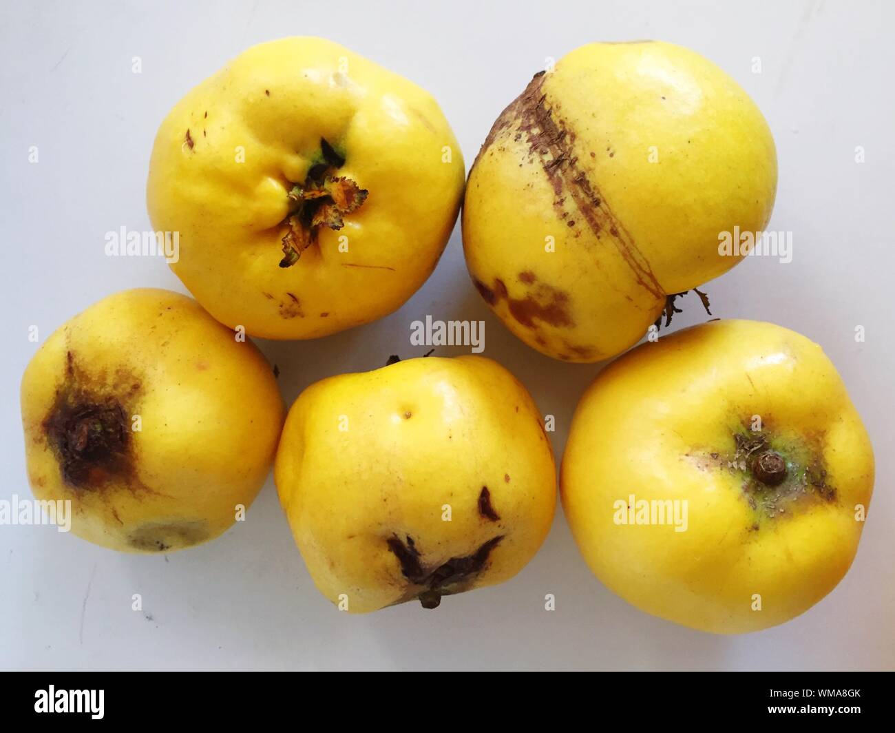 Quince table hi-res stock photography and images - Alamy